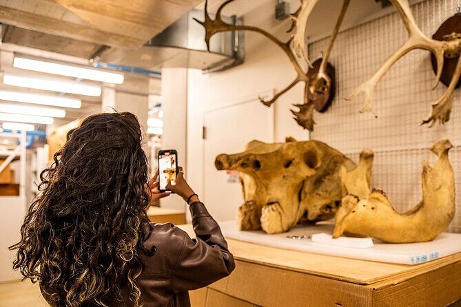 California Academy of Sciences NightLife Plus Admission Ticket - Key Points