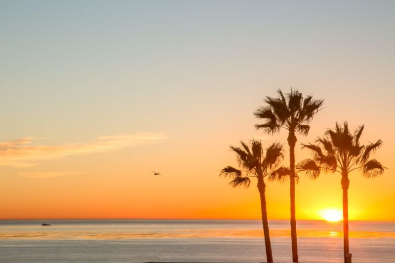 California Sunset Brewery Tour - Key Points