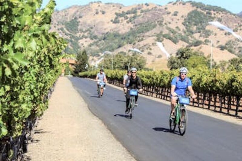 Calistoga: Napa Valley Cycling and Winery Tour with Picnic - Who Will Love This Tour?
