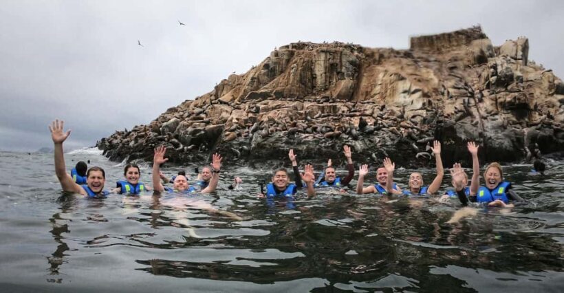 Callao: Swimming with Sea Lions Palomino Islands Boat Tour - Who Should Consider This Tour?