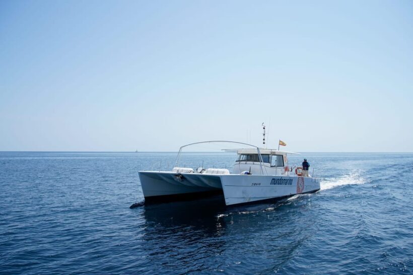 Calpe: Motor catamaran with optional lunch and swimming stop - Overview of What to Expect