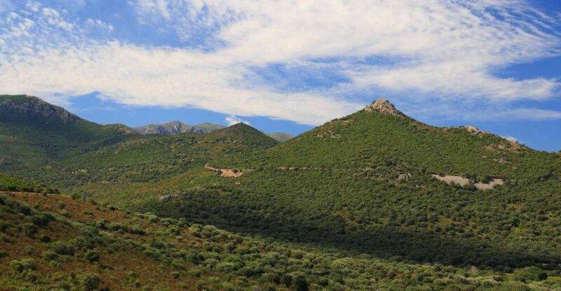 Calvi: Asco Valley 4x4 Day Tour with Guide - What to Expect from the Asco Valley 4x4 Tour