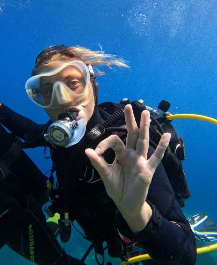 Calvi: Discover Scuba Diving - The Value of the Experience