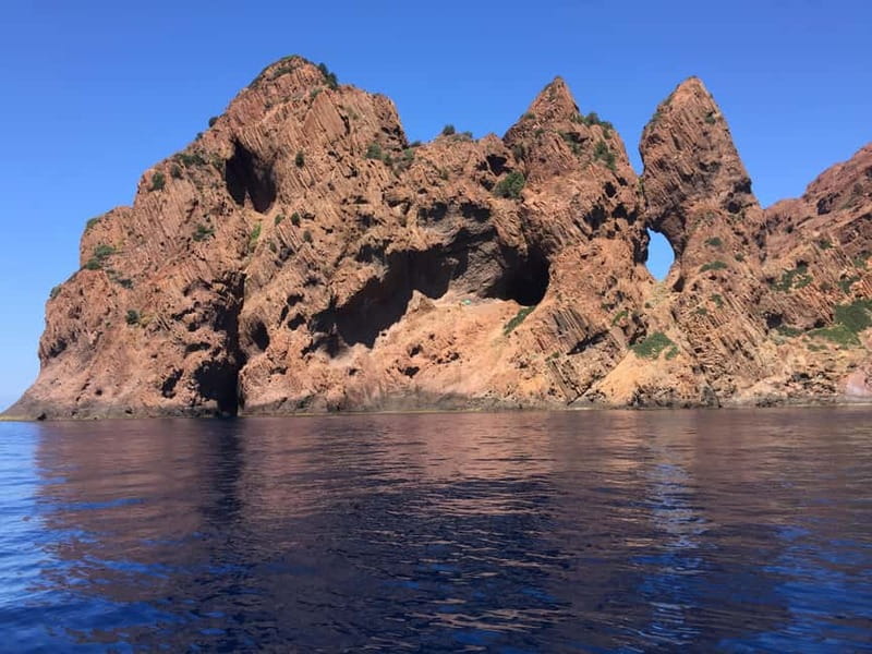 Calvi: guided tour by speedboat to Scandola - Key Points