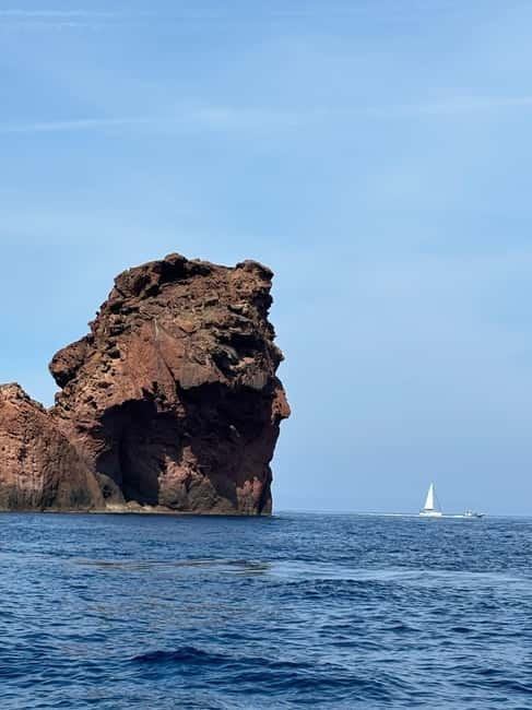 Calvi: guided tour by speedboat to Scandola - Why Choose This Tour?