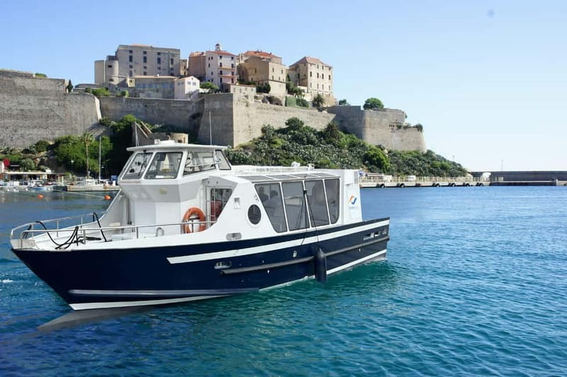 Calvi: guided tour by speedboat to Scandola - Who Should Skip This Tour?