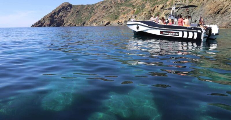 Calvi: Scandola and Piana Guided Boat Tour - Final Thoughts