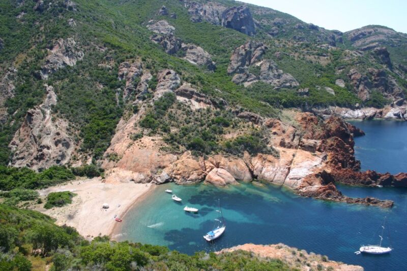 Calvi to Scandola: 4-Hour Boat Tour - Detailed Itinerary and Experience