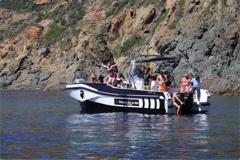 Calvi to Scandola: 4-Hour Boat Tour - Summary