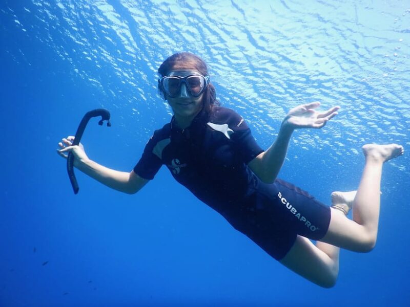 Calvi: Try Dive In The Calvi Bay - Key Points