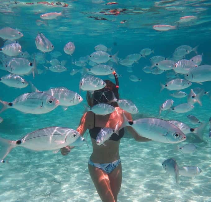 Calvi: Underwater journey at the edge of a natural reserve - Key Points