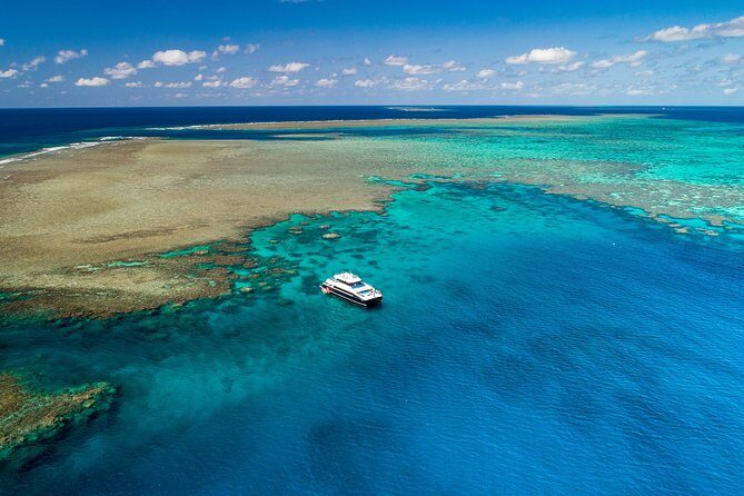 Calypso Outer Great Barrier Reef Cruise from Port Douglas - Authentic Feedback from Travelers