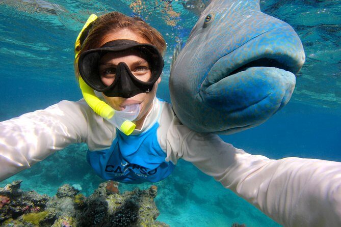 Calypso Outer Great Barrier Reef Cruise from Port Douglas - The Sum Up: Who Will Love This Reef Tour?
