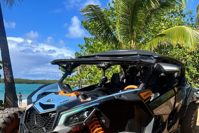 Cam Am Tour - Street Food & Beaches! - What Makes This Tour Stand Out?