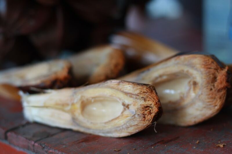 Cam Thanh Bike Tour from Hoi An - Key Points