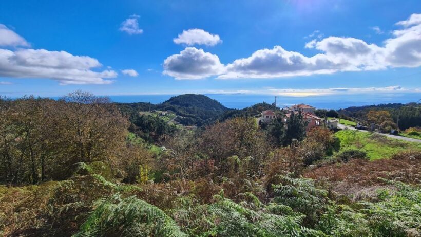Camacha: Levada Trail e-Bike Guided Tour - Discovering Madeira’s Green Heart: The Camacha Levada Trail E-Bike Guided Tour