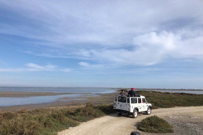 Camargue 4x4 Safari 2 Hours Saintes Maries De La Mer - Exploring Camargues Cultural and Natural Heritage