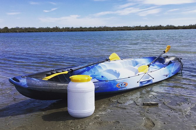 Camargue 4x4 Safari 2h + Picnic + Kayak - Price & Value