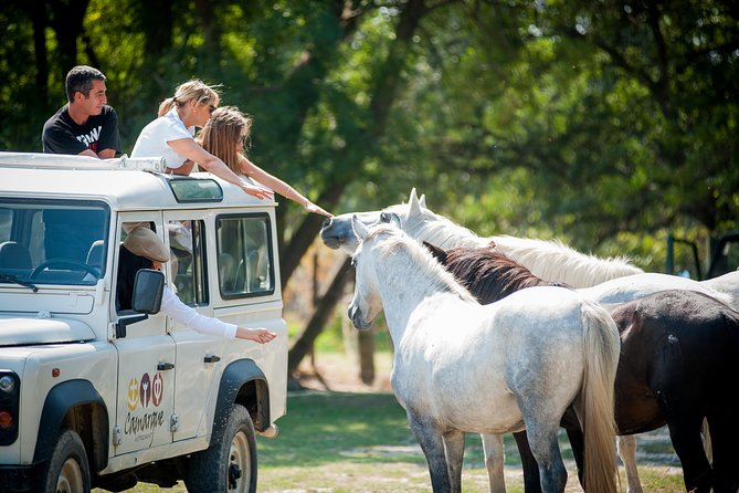 Camargue 4x4 Safari VIP Tour - Guided Tour Details
