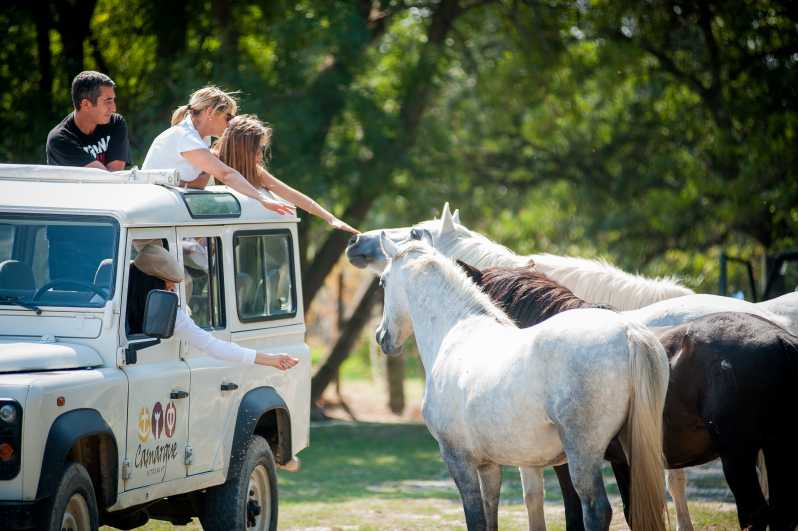 Camargue: Half-Day 4x4 Guided Safari Adventure - Who Should Consider This Tour?