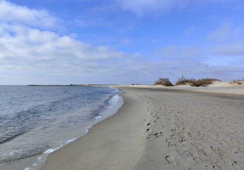 Camargue, its secrets and its magic: an exclusive tour - Key Points