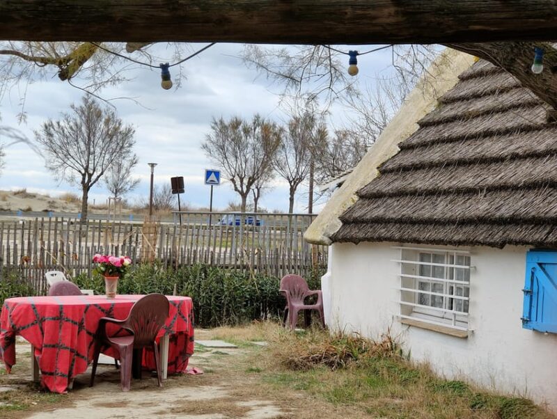 Camargue, its secrets and its magic: an exclusive tour - The Sum Up