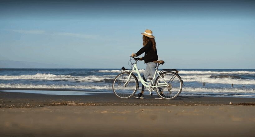 Camarles: Bike Rental - Key Points