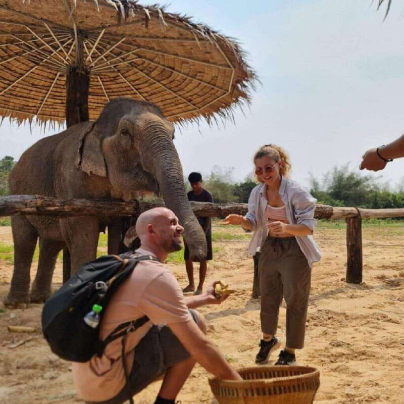 Cambodia Elephant Sanctuary and Banteay Srey Temple Tour - Key Points