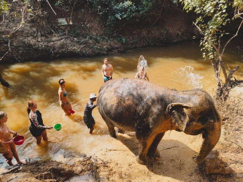 Cambodia Elephant Sanctuary and Banteay Srey Temple Tour - Who Would Love This Experience?