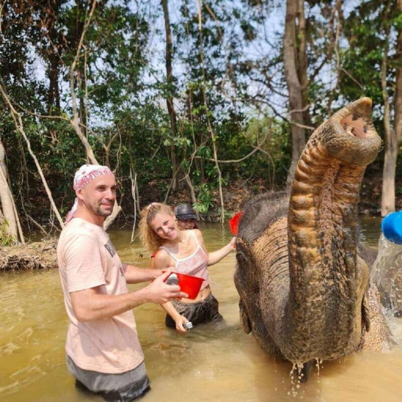 Cambodia Elephant Sanctuary and Banteay Srey Temple Tour - FAQ