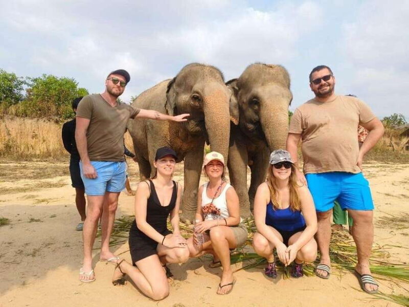 Cambodia Elephants Haft Day Experiences from Siem Reap - What to Expect and the Experience Quality