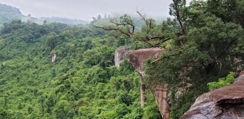 Cambodia Elephants Haft Day Experiences from Siem Reap - Practical Tips for Travelers