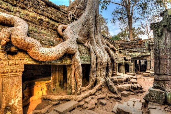 Cambodia Highlight 6 Days Tour from Siem Reap to Phnom Penh - FAQ
