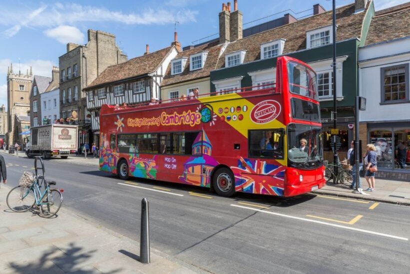 Cambridge: City Sightseeing Hop-On Hop-Off Bus Tour - Who Will Love This Tour?