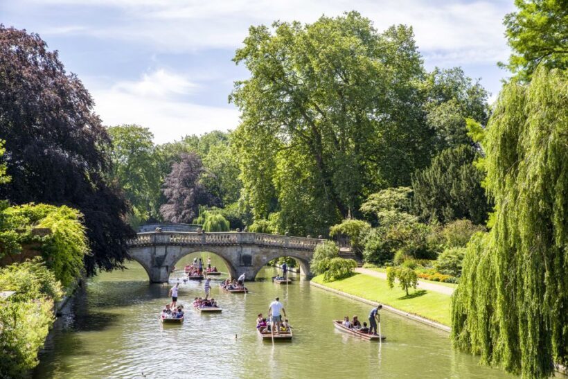 Cambridge: Guided River Cam Punting Tour - The Experience in Detail: What You Can Expect