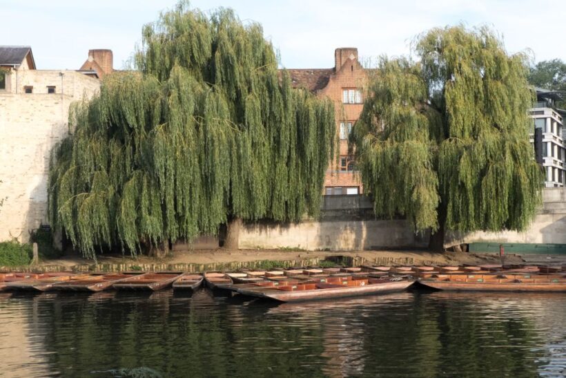 Cambridge: Punting Tour on the River Cam - Final Thoughts