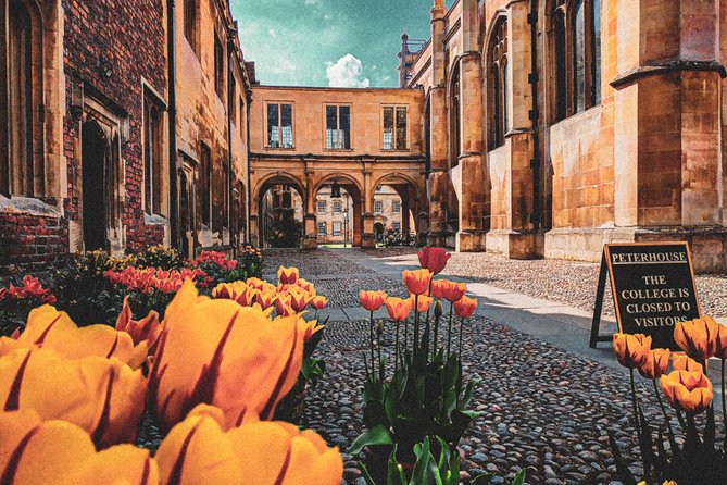 Cambridge's History & Secrets with Self-Guided Walking Tours - Final Thoughts: Is It Worth It?