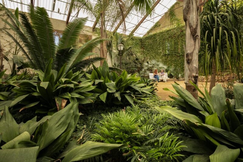 Cambrils: Parc Samà Entry Ticket - FAQs