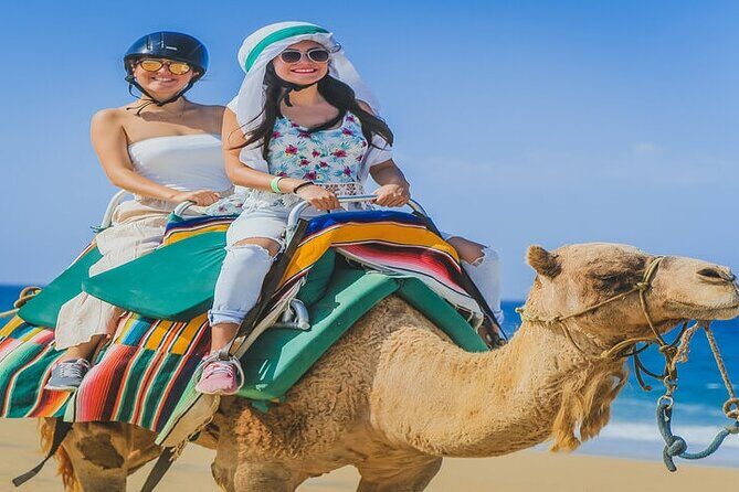 Camel Ride & ATV Combo in Migriño, Mexico - Authentic Experiences and What Travelers Say