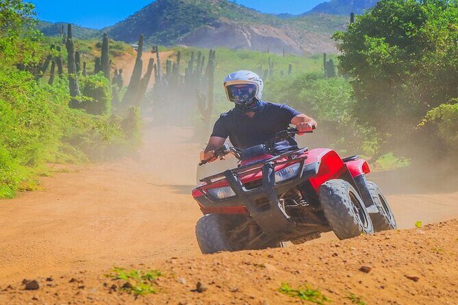 Camel Ride & ATV Combo in Migriño, Mexico - The Sum Up: A Fun and Authentic Day Out