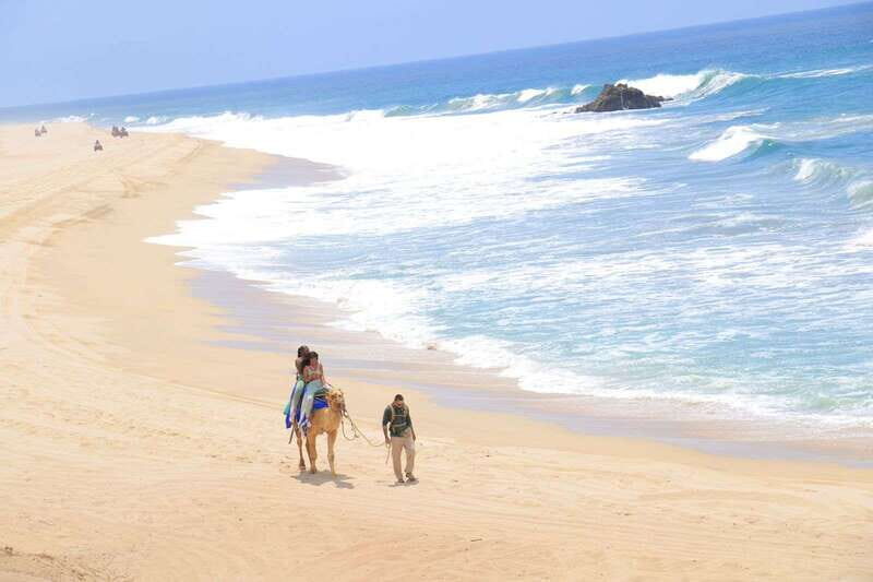 Camel Ride Beach and Desert Adventure. - Who Should Consider This Tour?