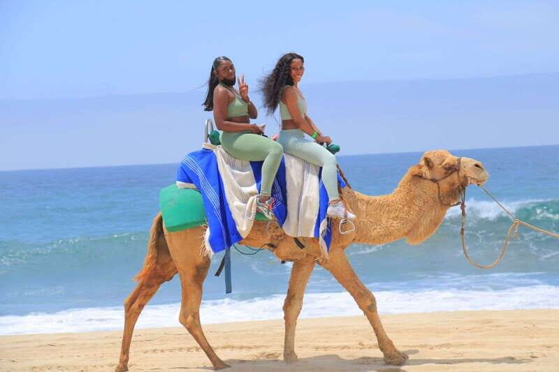 Camel Ride Beach and Desert Adventure. - FAQ