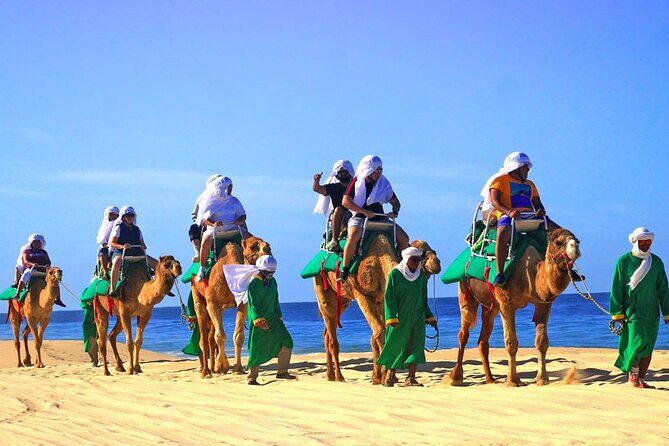 Camel Ride & Encounter at Los Cabos - Cost and Value