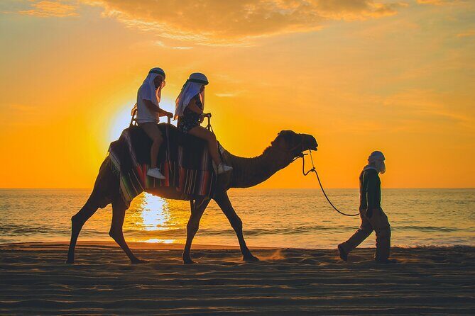 Camel Ride Experience in Los Cabos with Pick up and Lunch - The Entrance Fee and Additional Costs