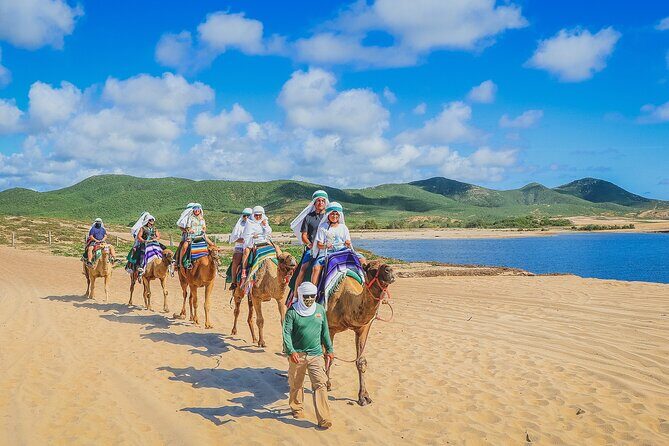 Camel Ride Experience in Los Cabos with Pick up and Lunch - Practical Tips for Booking