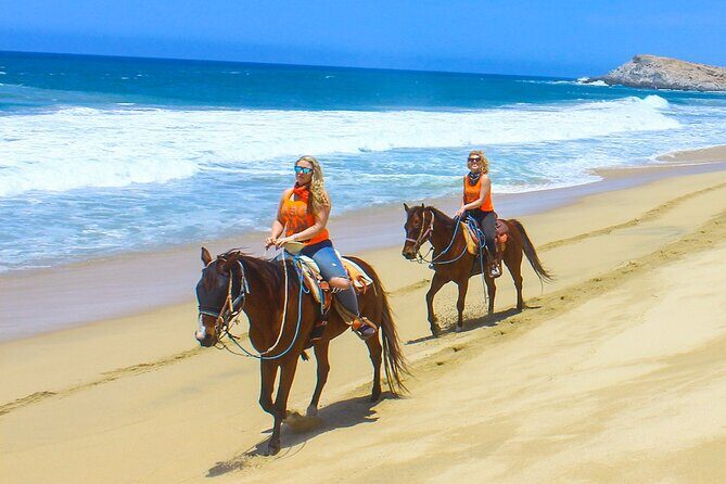 Camel Ride Tour in Los Cabos - An In-Depth Look at the Camel Ride Tour in Los Cabos