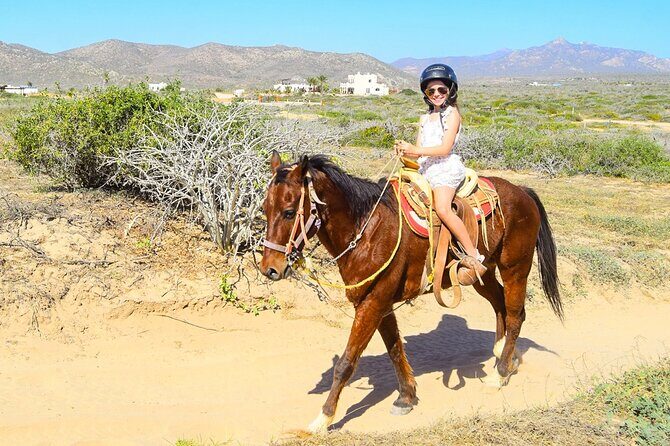 Camel Ride Tour in Los Cabos - Who Is This Tour Best For?