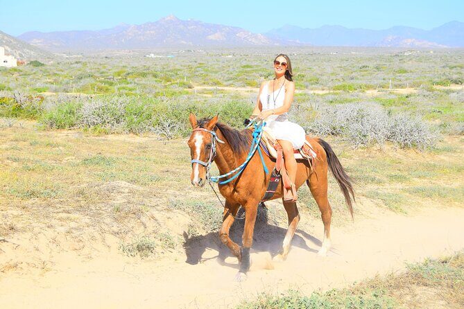 Camel Ride Tour in Los Cabos - FAQ