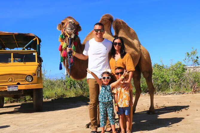 Camel riding experience on the shores of the Pacific Ocean - A Complete Look at the Camel Riding Experience