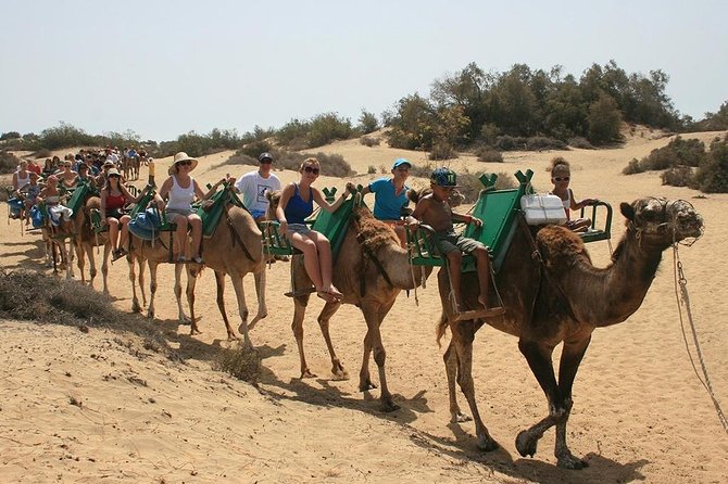 Camel Riding in Maspalomas Dunes - Tour Logistics and Meeting Point